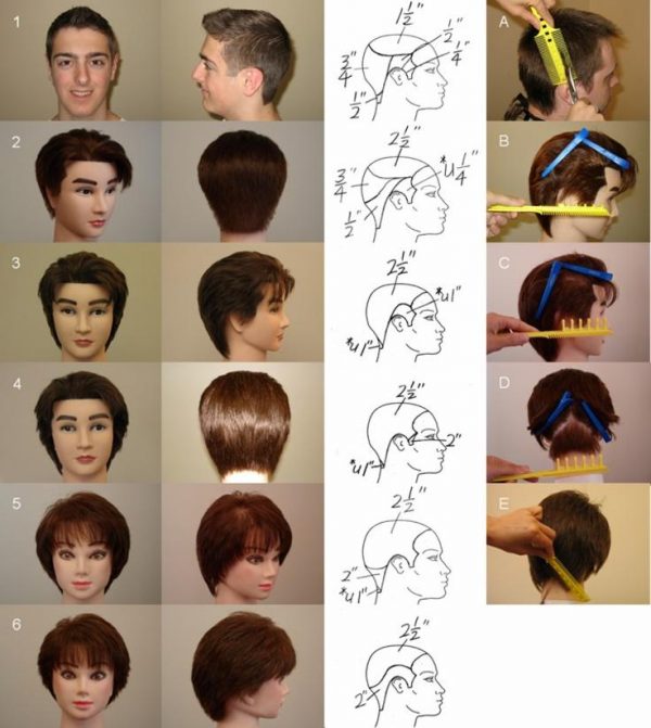 Tutorials – CombPal